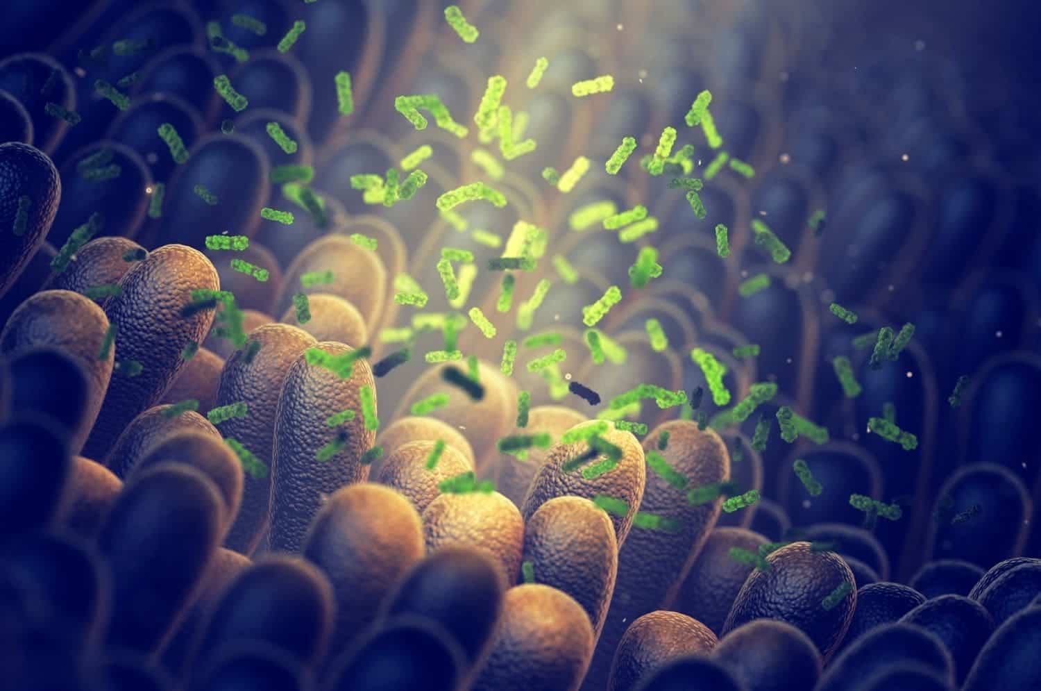 Human Microbiome Data for Discovery of Microbially Derived Metabolites ...