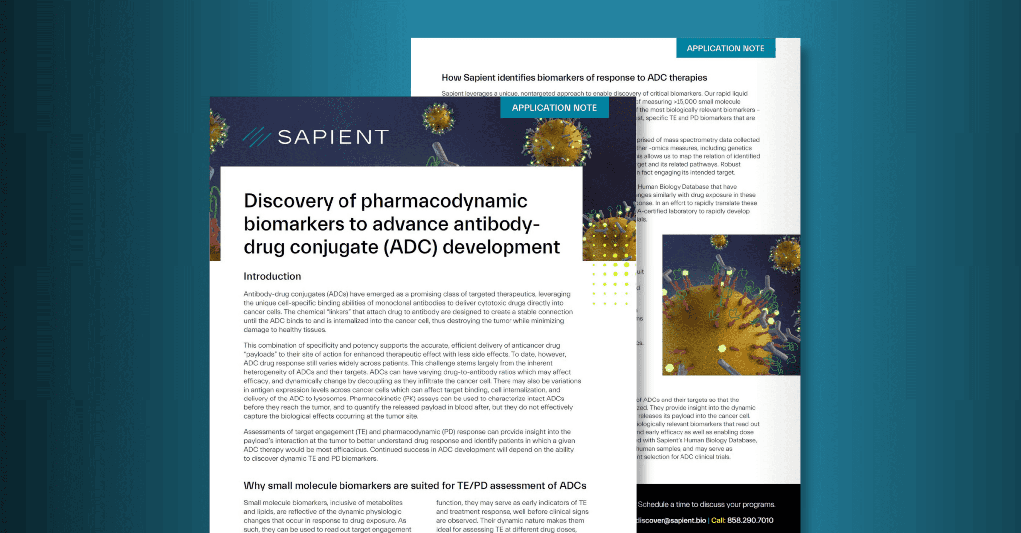Antibody-Drug Conjugate Biomarkers | TE & PD Biomarkers for ADCs