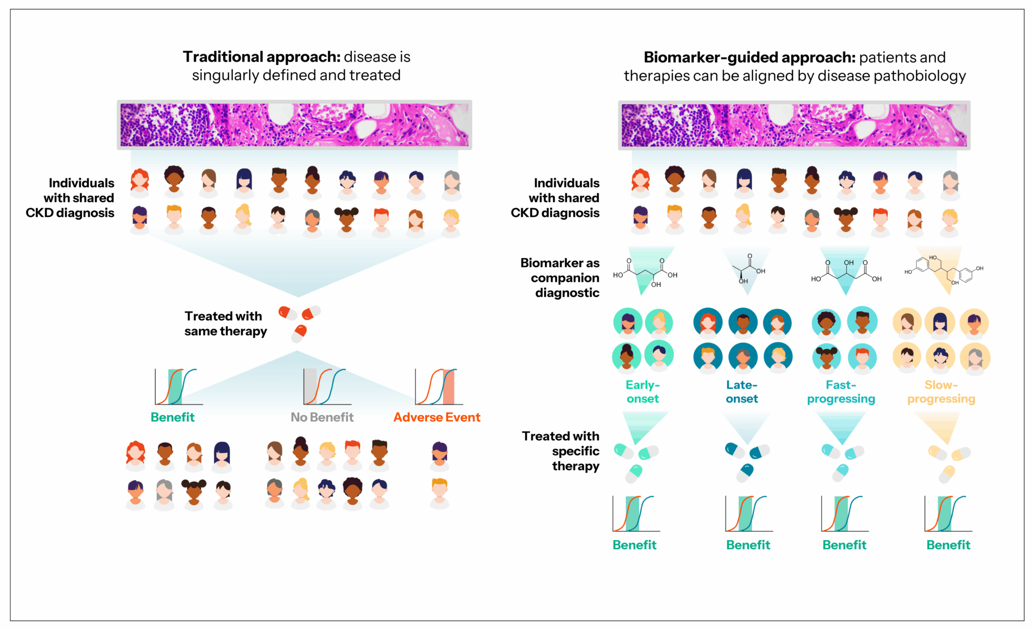Biomarkers for CKD Subtyping, Disease Prediction & Treatment